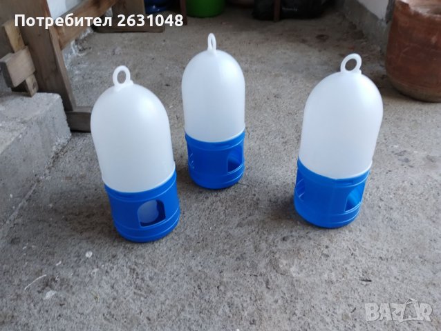 Чифт гълъби на Глас в Гълъби в гр Пловдив Id39043533 — Bazar Bg